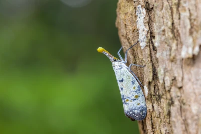 Képlet/Fogalom: Logaritmikus egyenlet megoldása | Matek Oázis